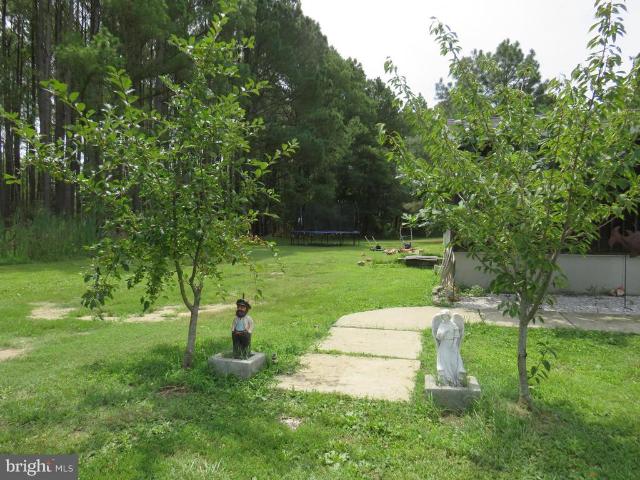 26935 Cash Corner Road
