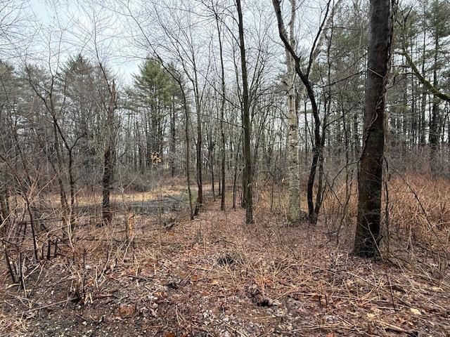 269 West River Road