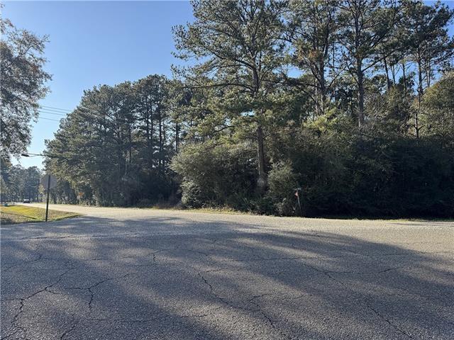 26.89 Acres Highway 25 Highway