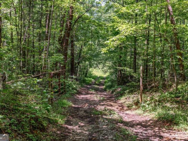 26.18 AC Green Road