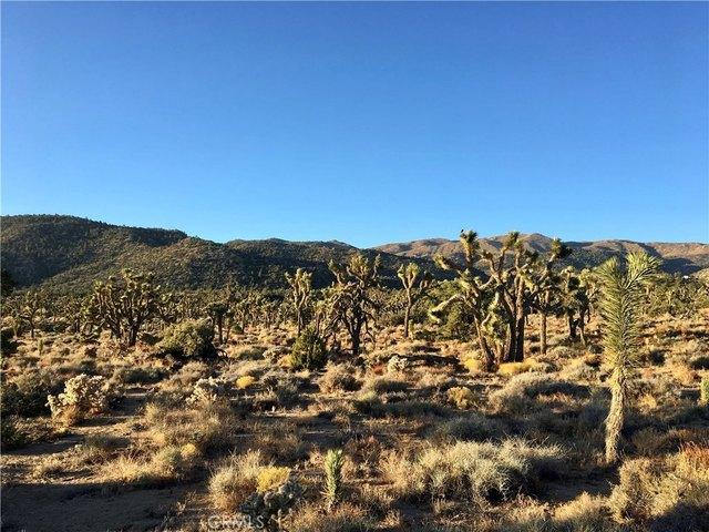 26 Vista Rd, Pioneertown, CA 92356