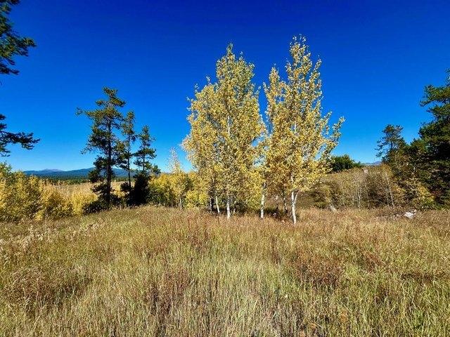 26 Wood Run Trl Unit 5, McCall, ID 83638
