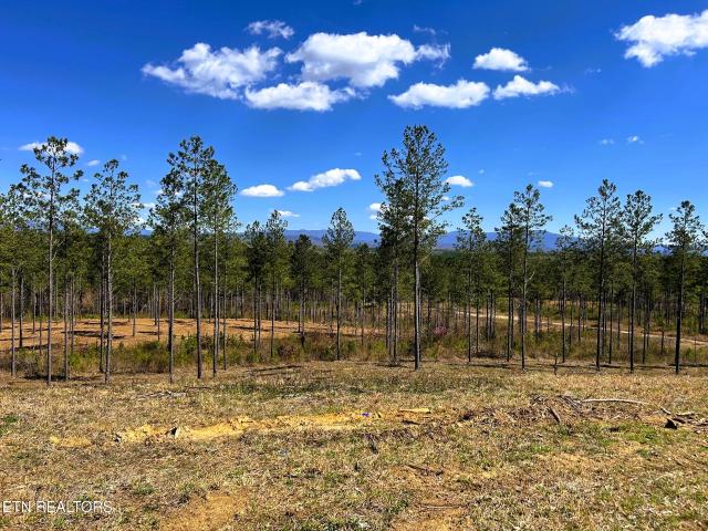 26 A Hughes Lake Road, Cleveland, TN 37323 | MLS #1296