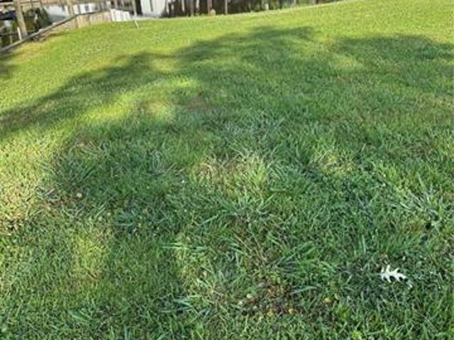 26 a & 26b Buns Ln, Springfield, LA 70462 | MLS #2552