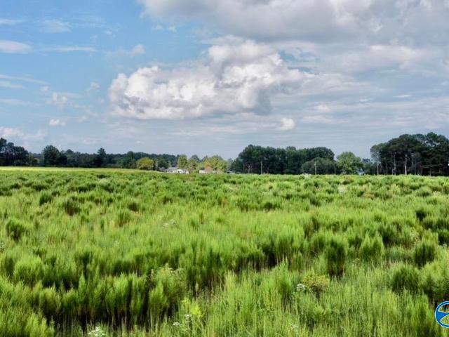 26 Acres Piney Chapel Road