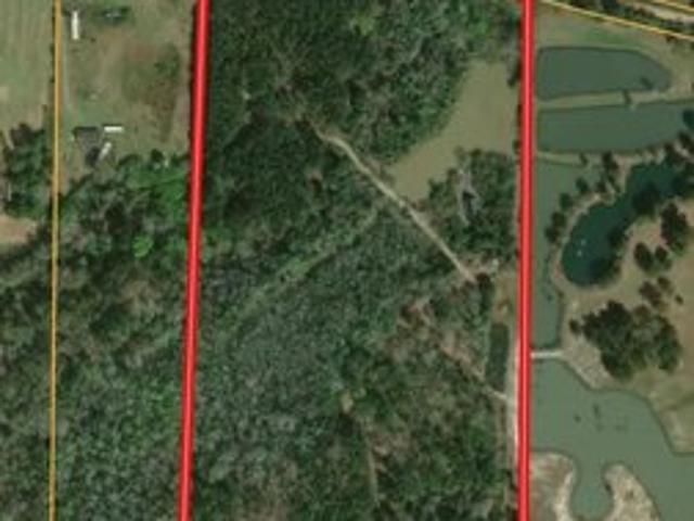 26 Acres Reed Patch Rd, Black, AL 36314