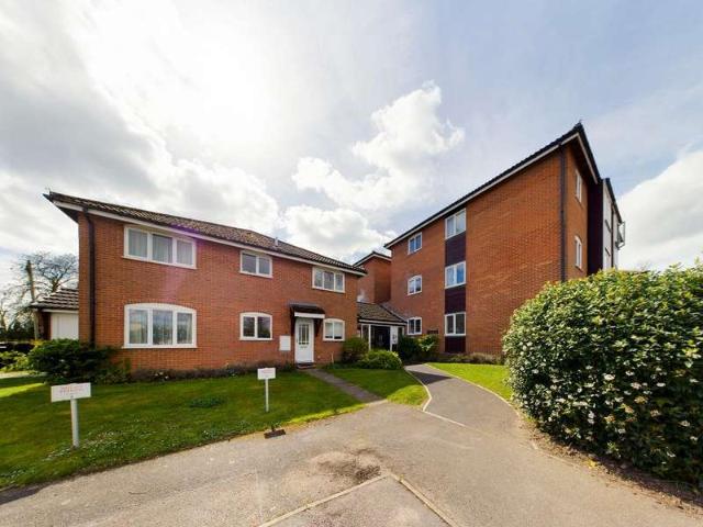 26 Bedroom Apartment Flat