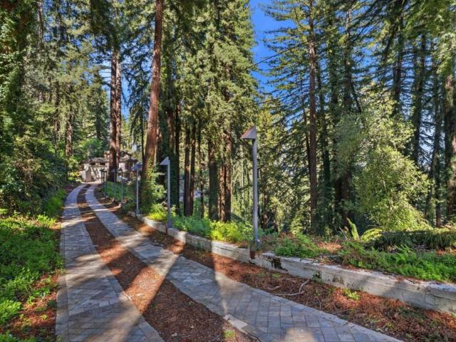 26 Big Tree Road