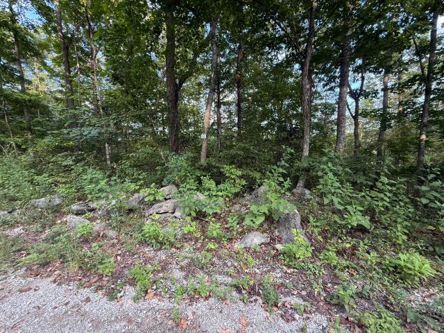 26 Buck Creek Circle