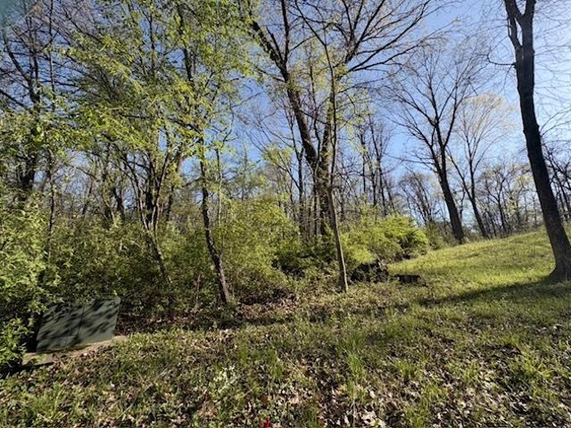 26 Catalina Dr, Putnam, IL 61560 | MLS #12628