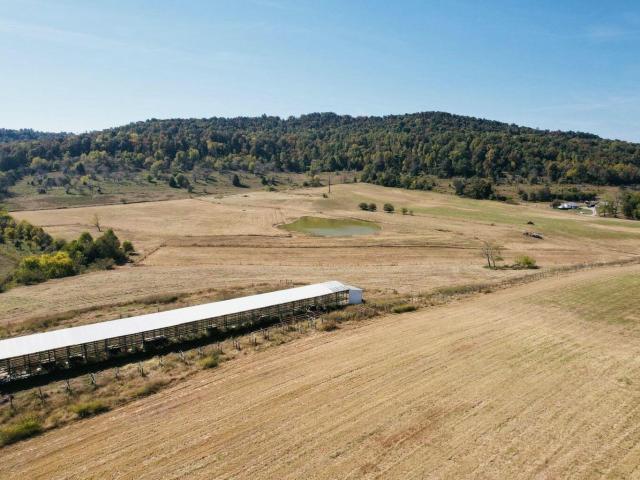 26 Elihu Cabin Hollow Road