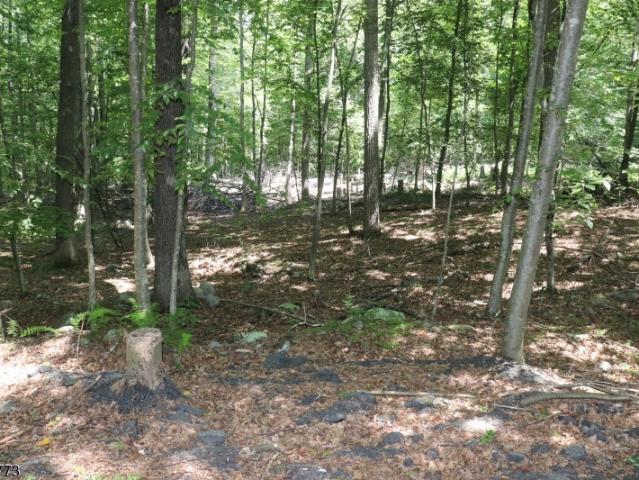 26 Fawn Run