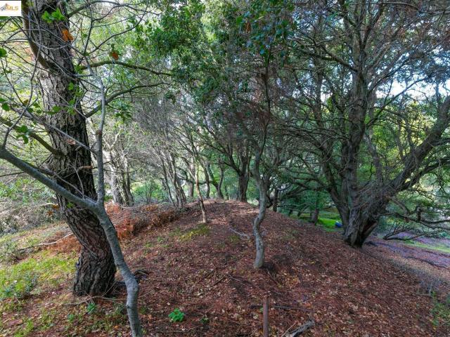 26 Lucille Way, Orinda, CA 94563 | MLS #41085