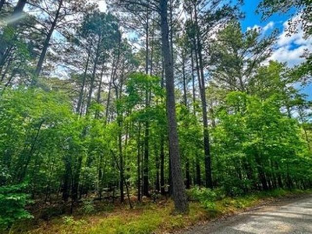 26 Mangrove Rd, Broken Bow, OK 74728