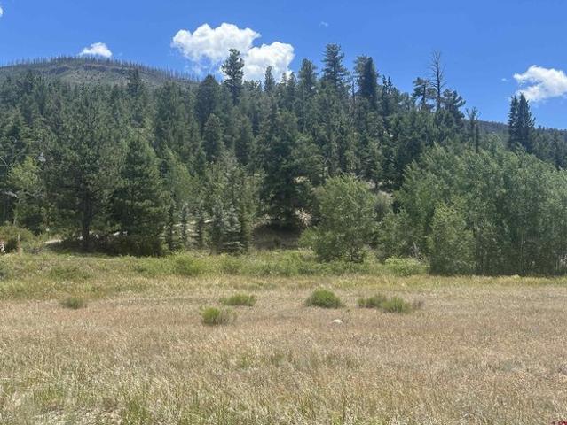 26 Mill Creek Ln, South Fork, CO 81154