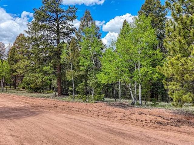 26 N Eldorado Cir, Florissant, CO 80816