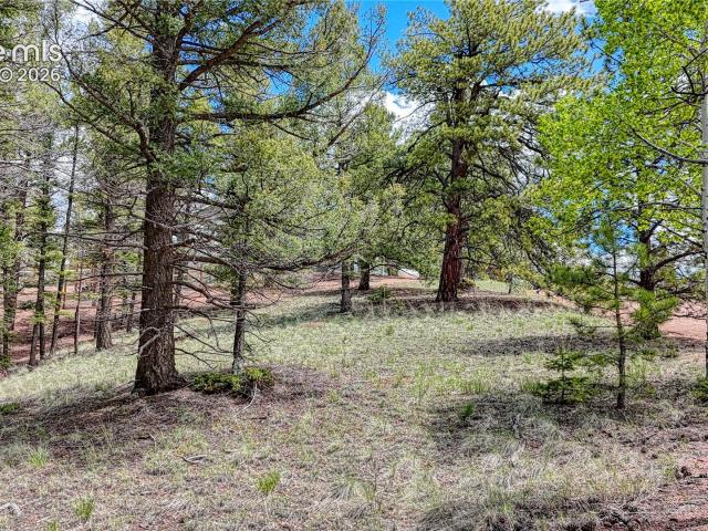 26 N Eldorado Circle