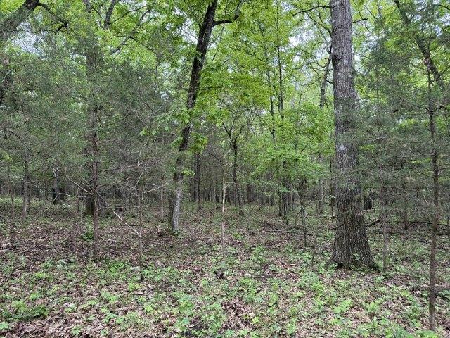26 Ridge Rd, Hardy, AR 72542