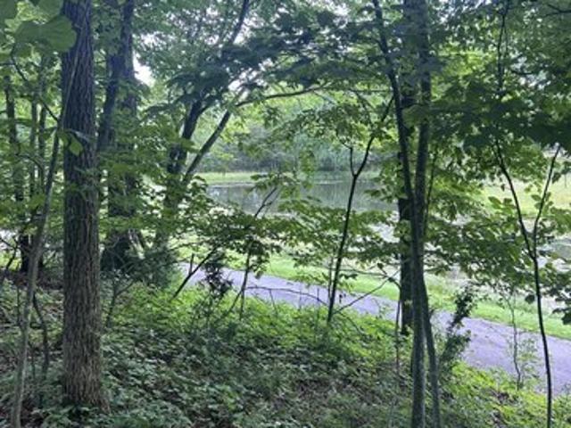 26 Rolling Green Ct, Fairfield Glade, TN 38558