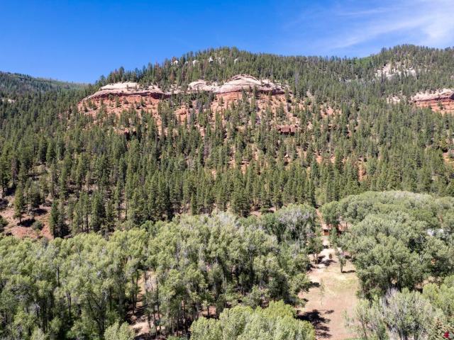 27046 Highway 145, Dolores, CO 81323 | MLS #830688