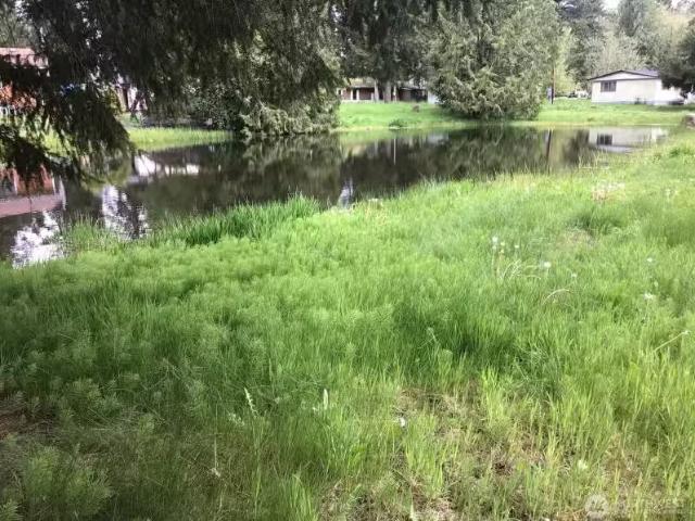 2708 341st Ct S #29, Roy, WA 98580 MLS 2348113