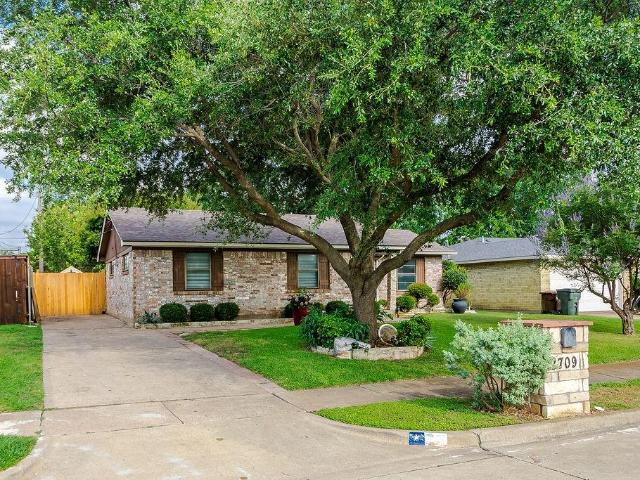 2709 Jasmine Lane