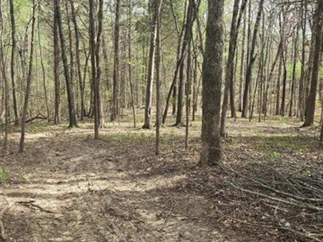 2700 Independence Rd, Huntingdon, TN 38344