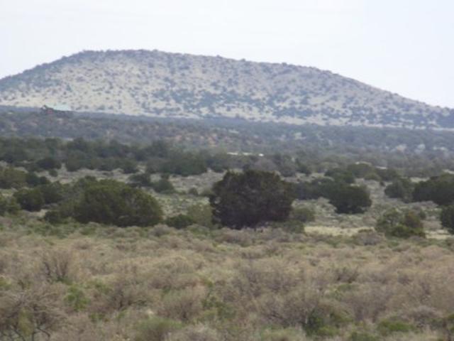 2701 E Leslie Way, Williams, AZ 86046