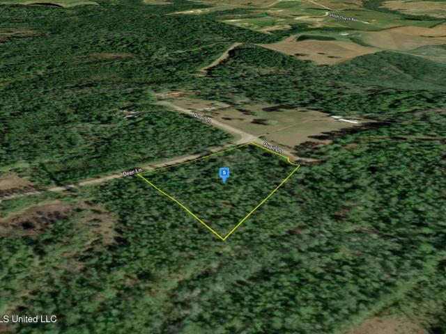 27025 Deer Lane