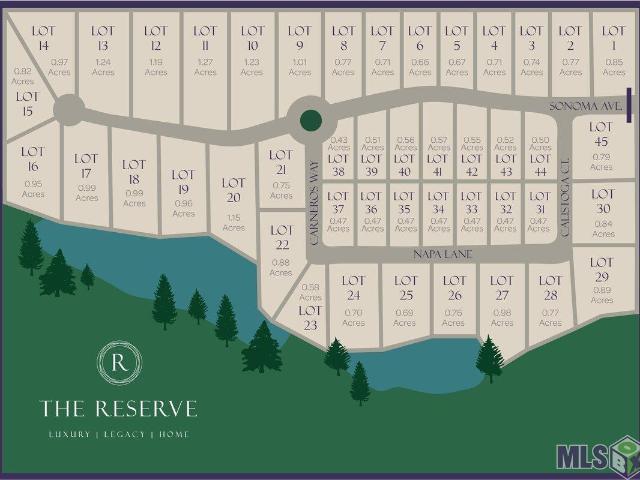 27034 Sonoma Ave, Slaughter, LA 70777 | MLS #BR2025022 | Compass