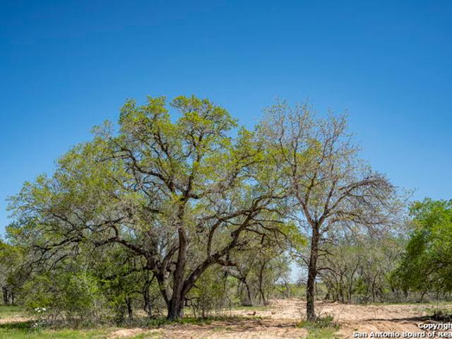 2703 County Road 770