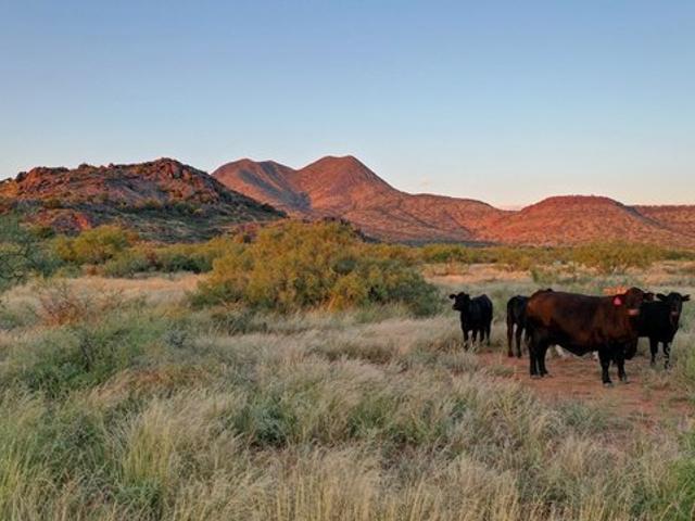 2703 W Highway 90, Alpine, TX 79830