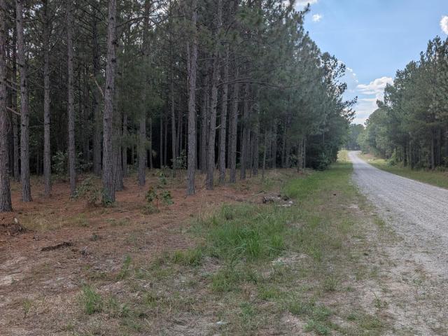 270 Charles Road # 1 R