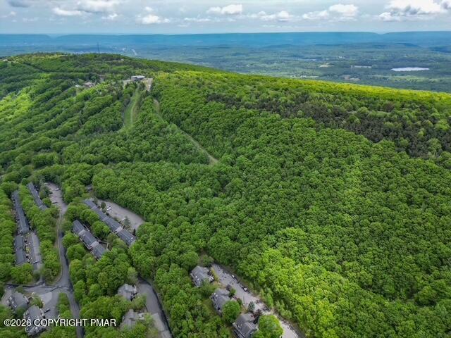 270 Big Pocono Pass, Tannersville, PA 18372 | MLS #PM 139089