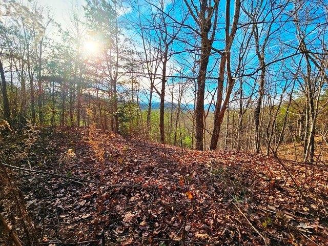 270 Graystone Dr Lot 80, Murphy, NC 28906