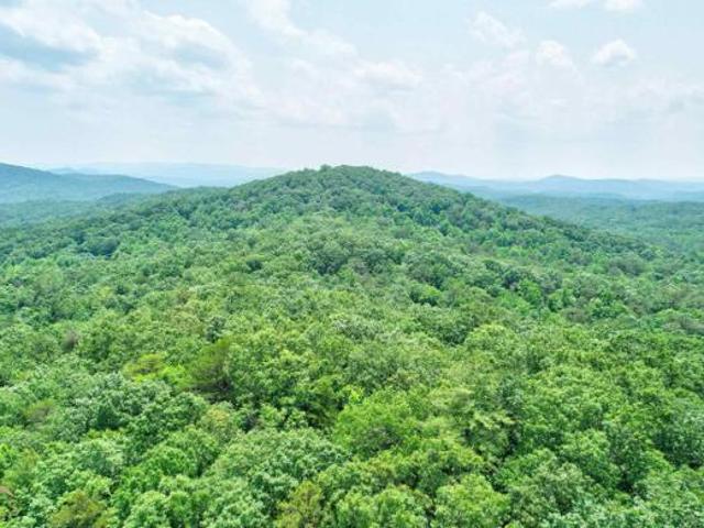 270 Lot 22 Lincoln Sd, Blue Ridge, GA 30513
