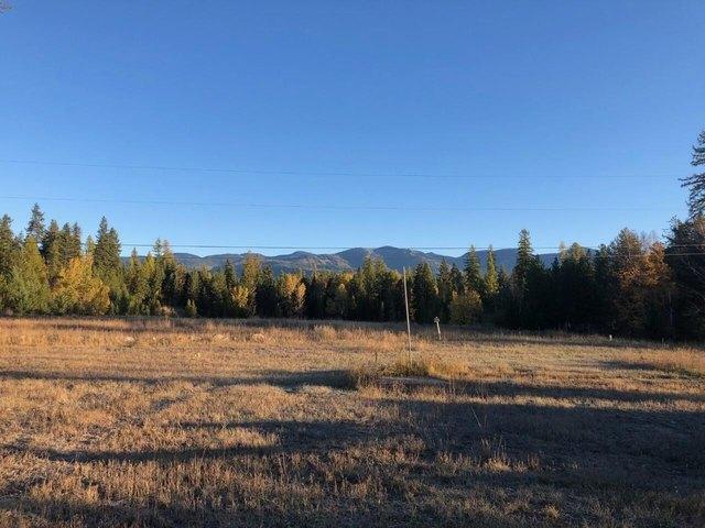 270 Lake Park Ln, Whitefish, MT 59937