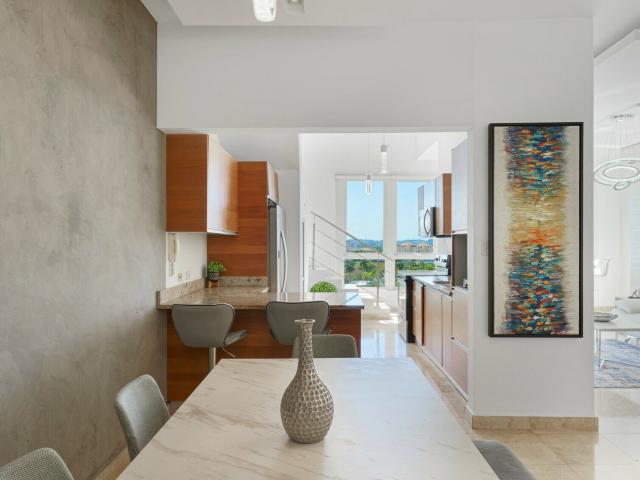270 San Ignacio Ave. PH L 512, Guaynabo, PR