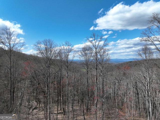 270 R Stone Cliff Dr, Talking Rock, GA 30175 | MLS #10786