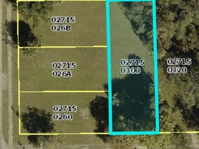 2717 Pastor James A Bing Way, Fort Myers, FL 33916 | MLS #FC315345
