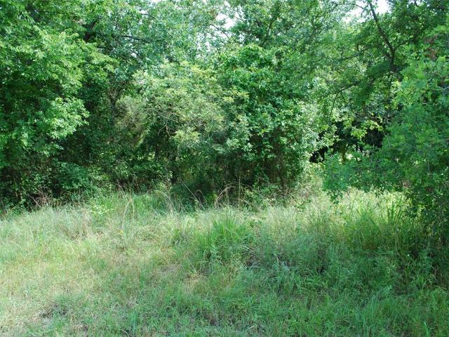 27183 Whispering Meadow, Whitney, TX 76692 | MLS #20987