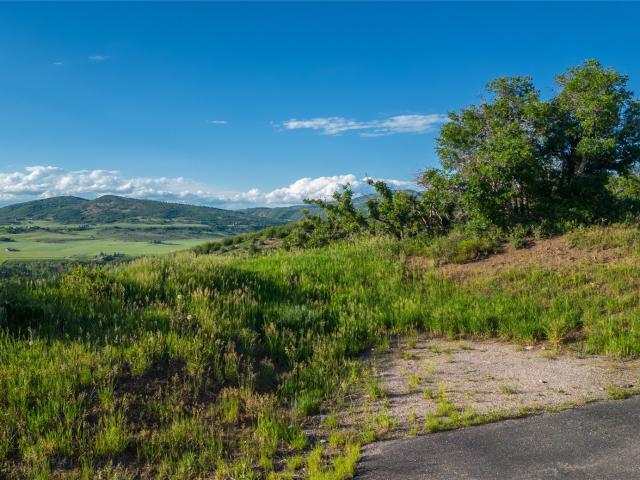 27105 Cowboy Up Rd, Steamboat Springs, CO 80487 | MLS #S1070