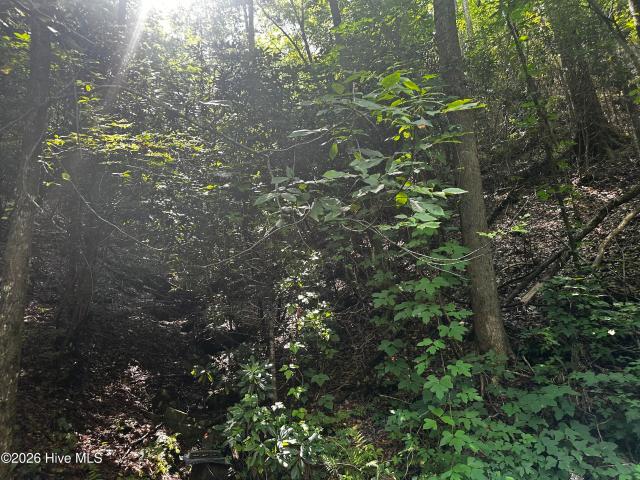 2710 Junaluska Road