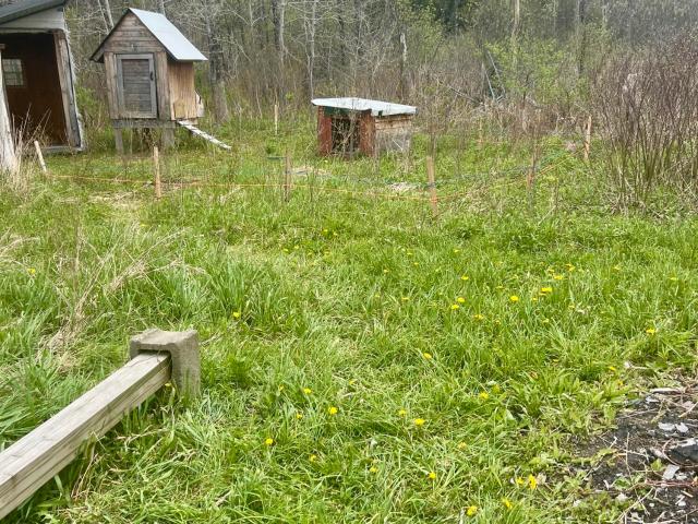 271 County Road 151