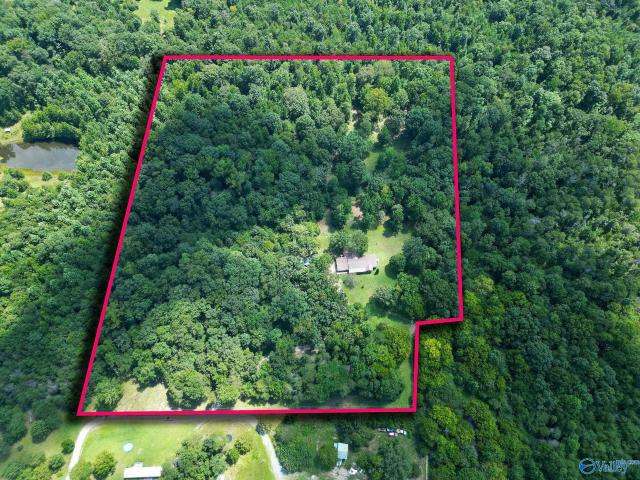 271 County Road 806
