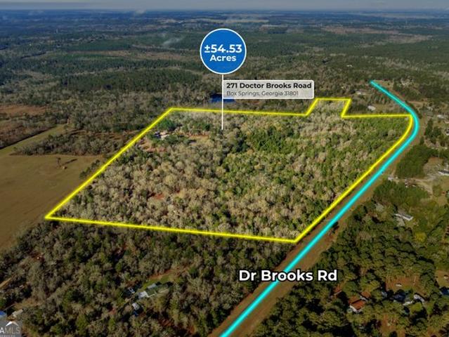 271 Dr Brooks Rd, Box Springs, GA 31801