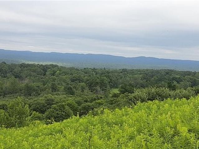 271 Snyder Rd, Newport, NY 13416
