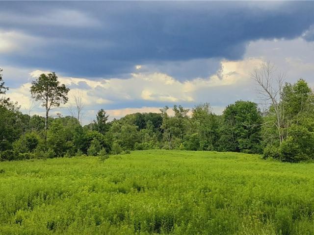 271 Snyder Road