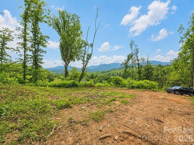 271 Sorrells Cove Rd Unit C2, Waynesville, NC 28786