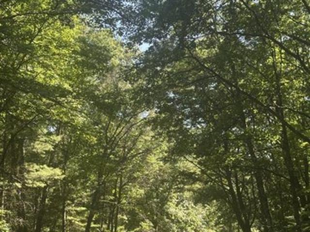 271st St Lot 3, Holcombe, WI 54745